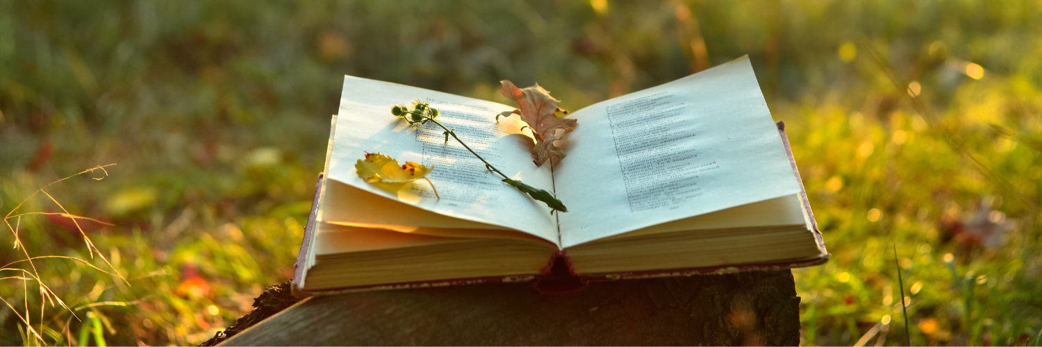 Events & Bookings | Kearney Public Library