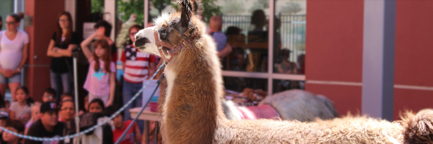 Events & Bookings | Rio Rancho Public Library