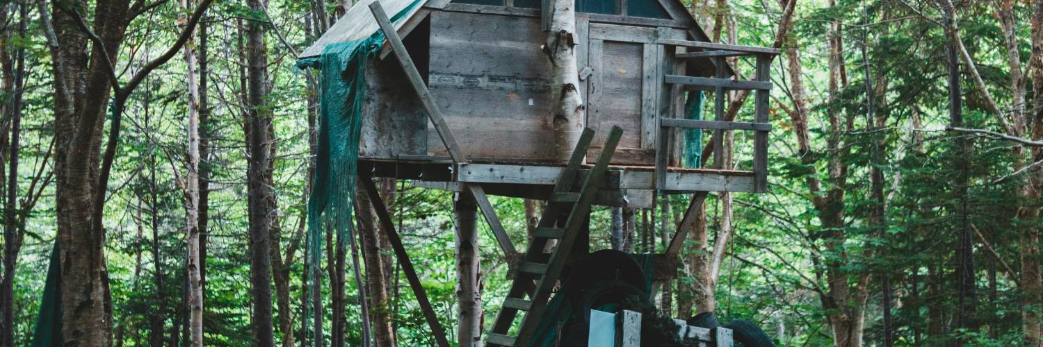 Magic Tree House Book Club | Garland County Library