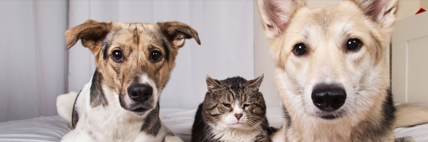 Events & Bookings | Rio Rancho Public Library