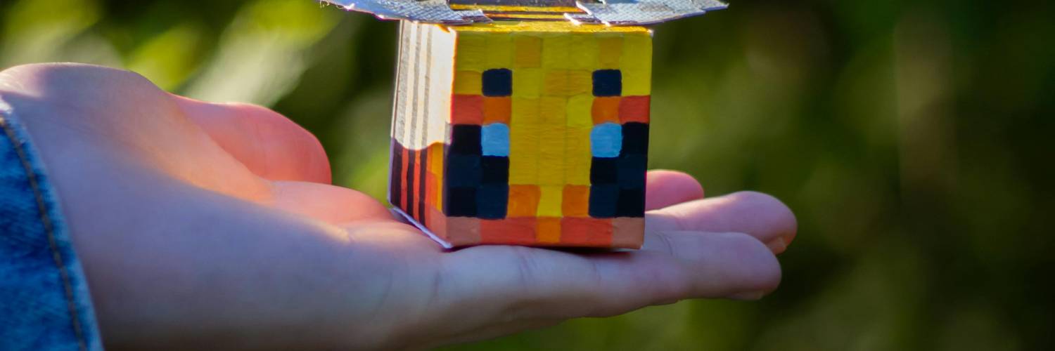 Minecraft Master Engineering | Danbury Public Library