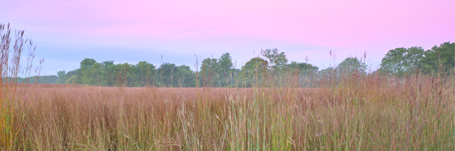 Echoes of the Heartland: Colonel Thomas Doane: Massachusetts Engineer ...