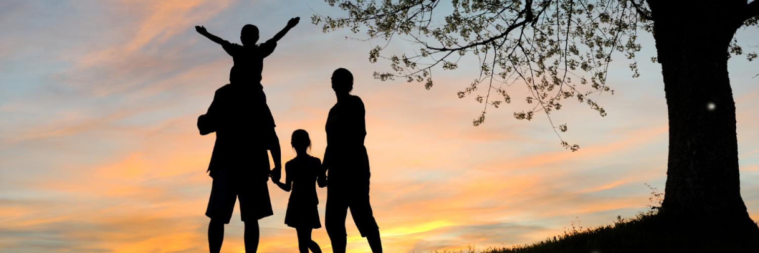 Events & Bookings | Jack Russell Memorial Library